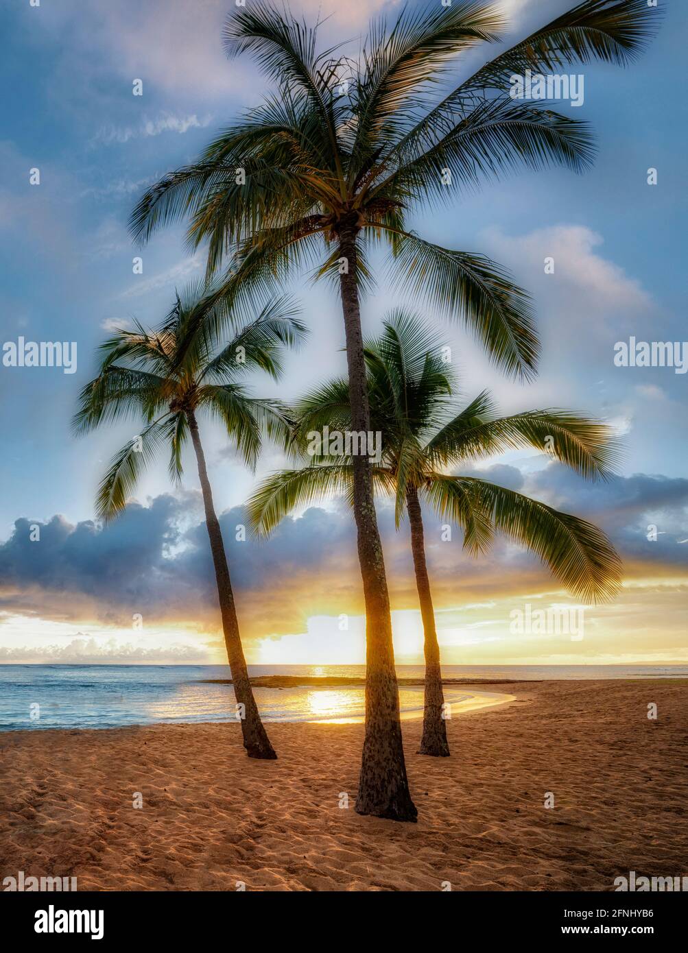 Palm trees on beach at Salt Pond Beach Park, Kauai, Hawaii Stock Photo ...