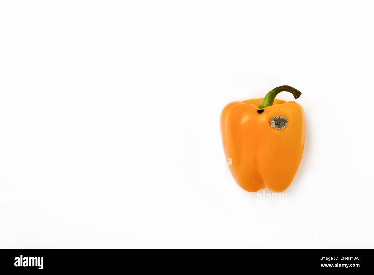 Moldy and wrinkled rotten yellow peppers. Concept of unhealthy ...