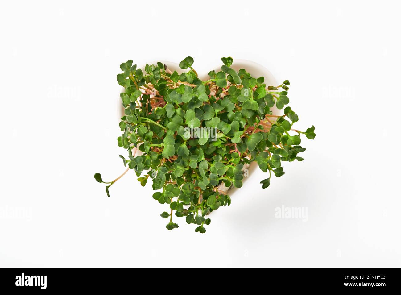 Earth day soil in Cut Out Stock Images & Pictures - Alamy