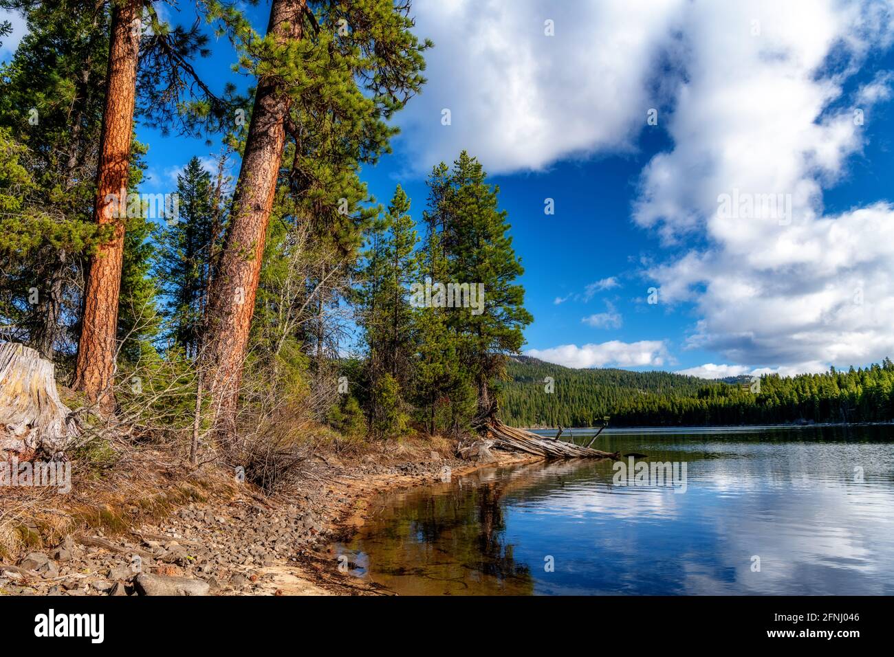 Forest collide hi-res stock photography and images - Alamy