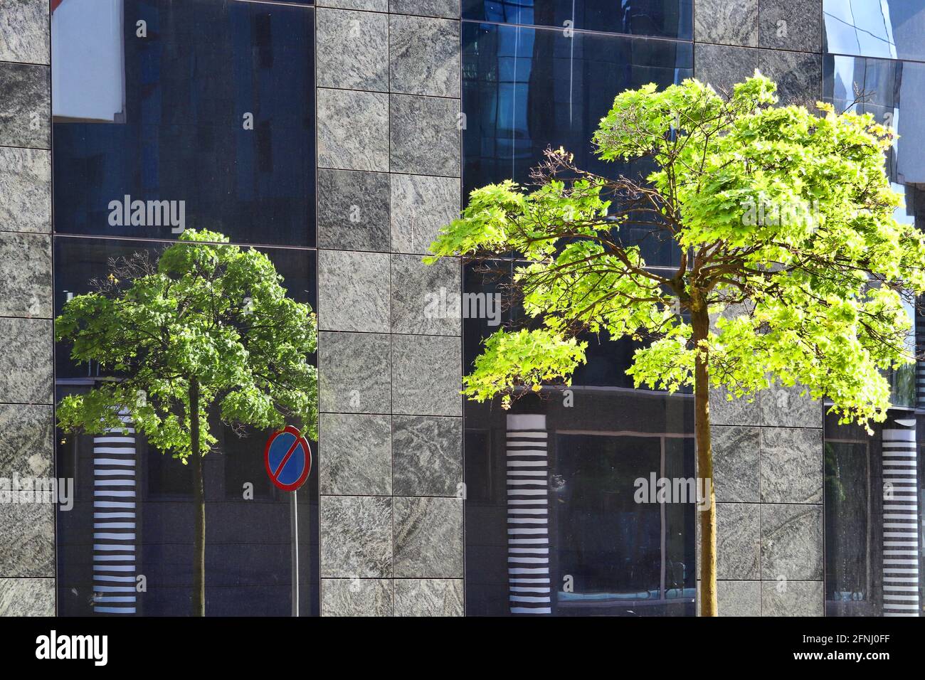 Architecture in tree hi-res stock photography and images - Alamy