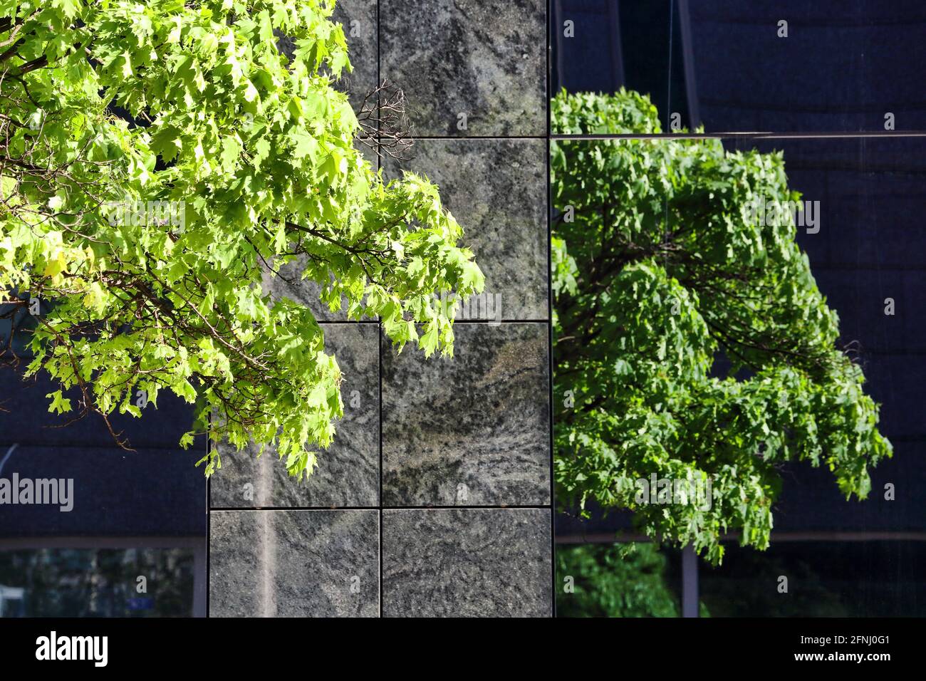 Architecture and tree Stock Photo - Alamy