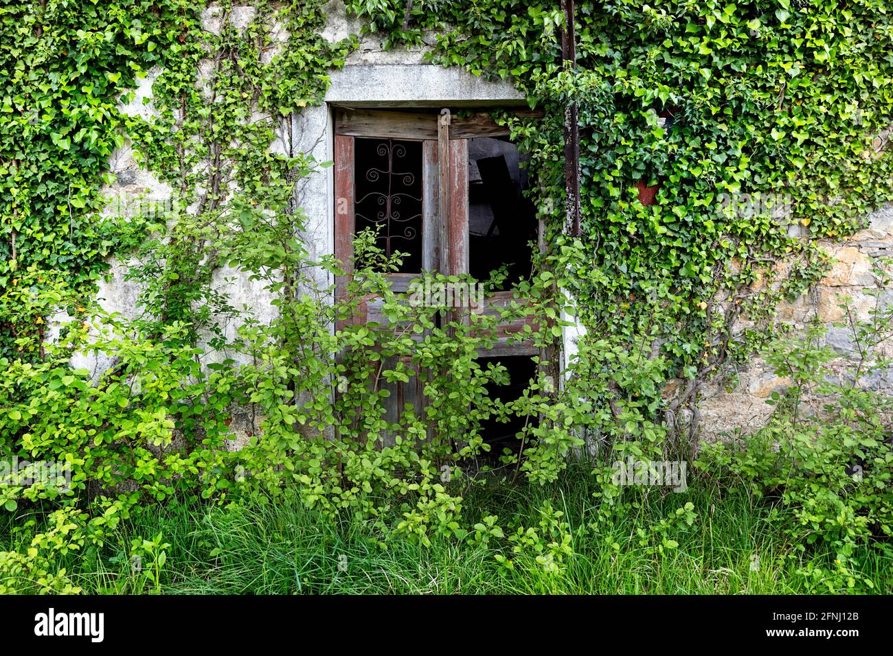 Overgrown abandoned building hi-res stock photography and images - Alamy