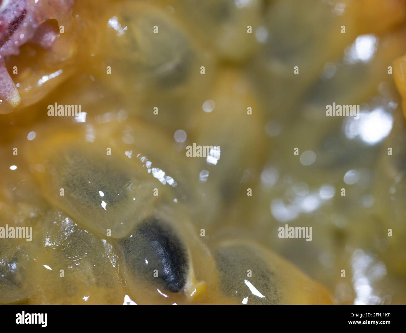 passion fruit seeds close up macro detail Stock Photo - Alamy