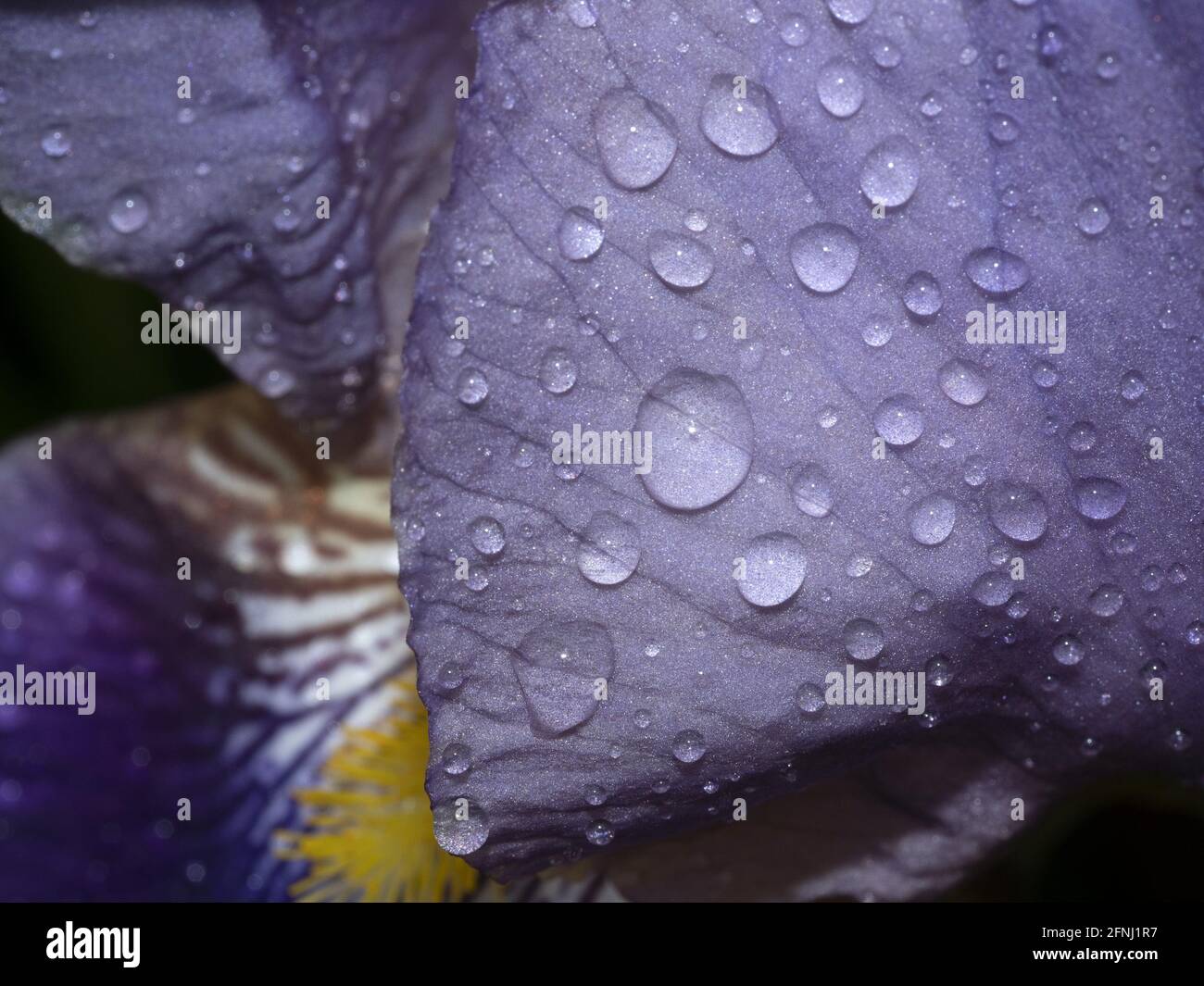 Water frops hi-res stock photography and images - Alamy
