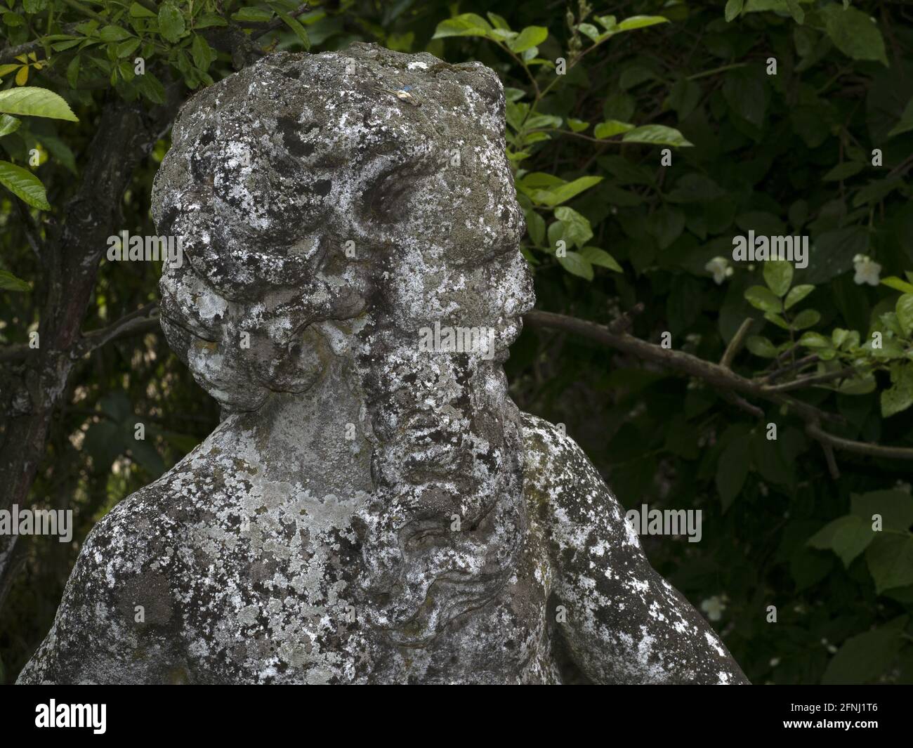 Old faun sculpture on forest background Stock Photo - Alamy