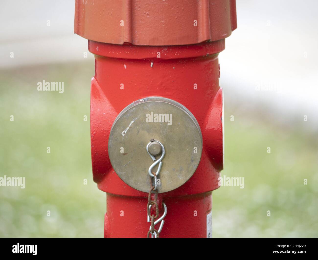 red hydrant isolated on grass background detail Stock Photo - Alamy