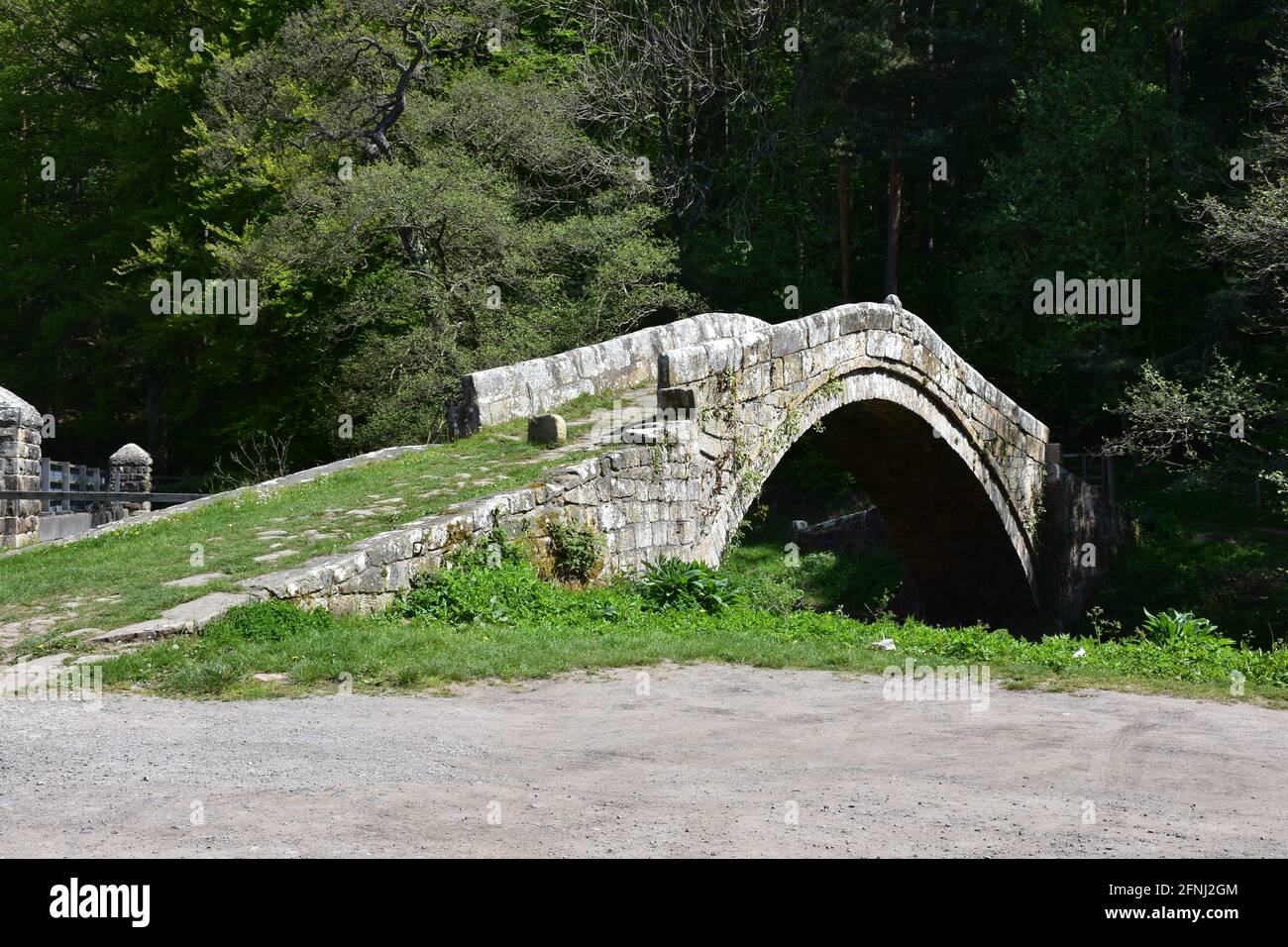 Historic beggar's bridge over a river in England Stock Photo - Alamy