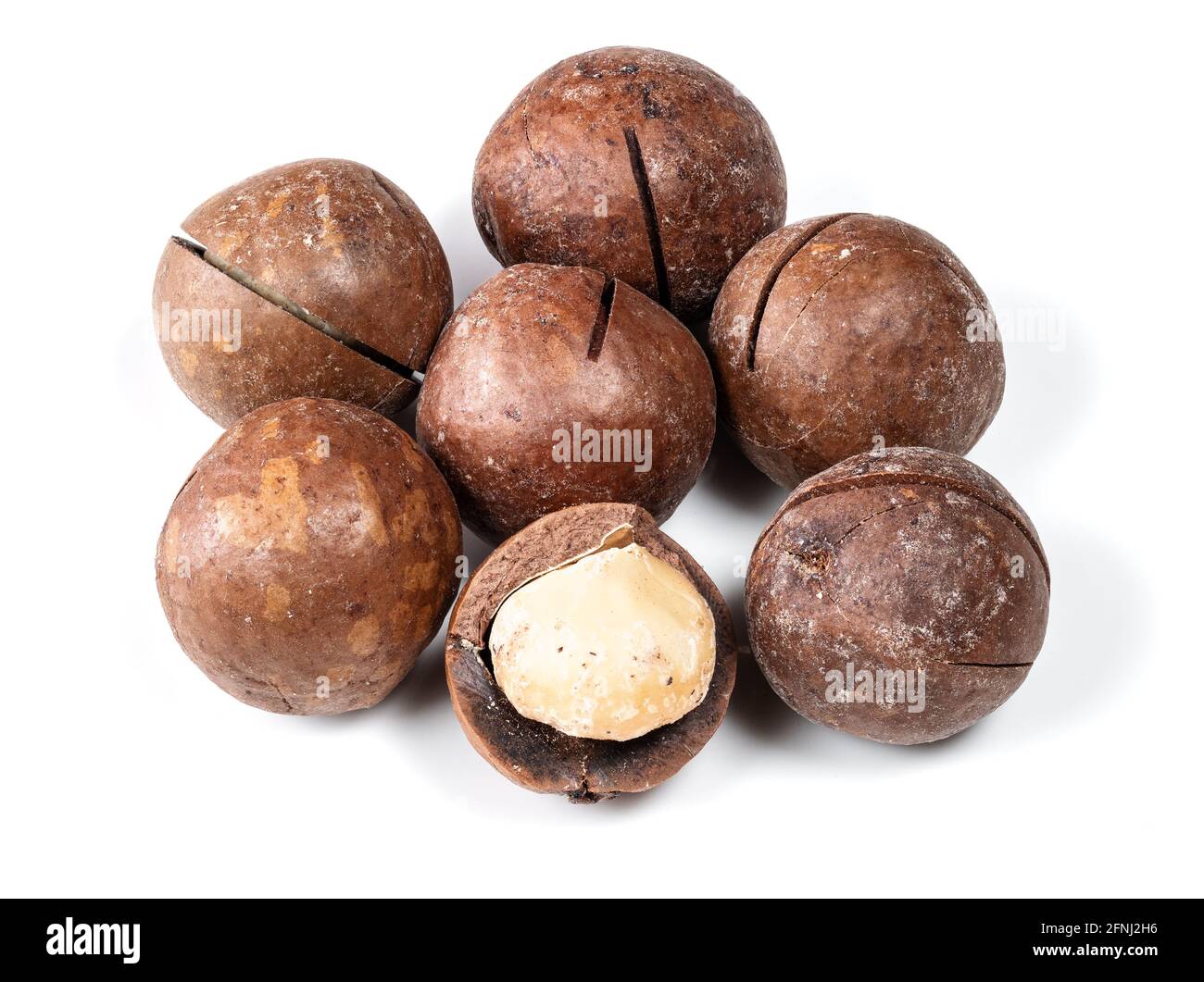 handful of macadamia nuts closeup on white background Stock Photo - Alamy