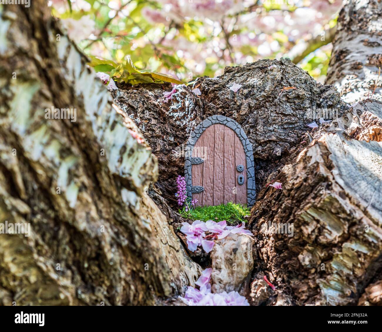 Little fairy tale door made from clay in cherry tree trunk Stock Photo ...