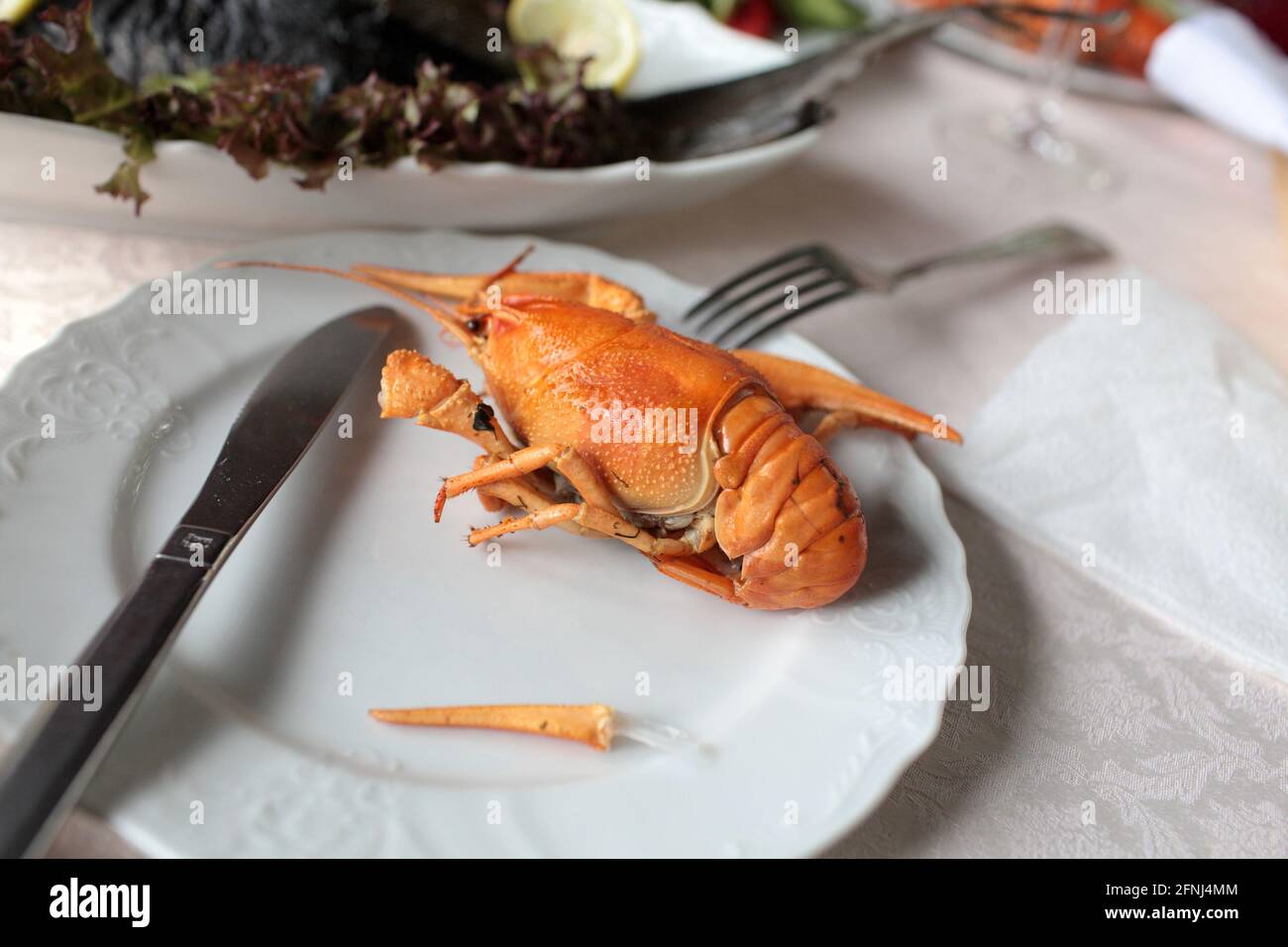 Boiled crawfish on a white plate in a restaurant Stock Photo - Alamy