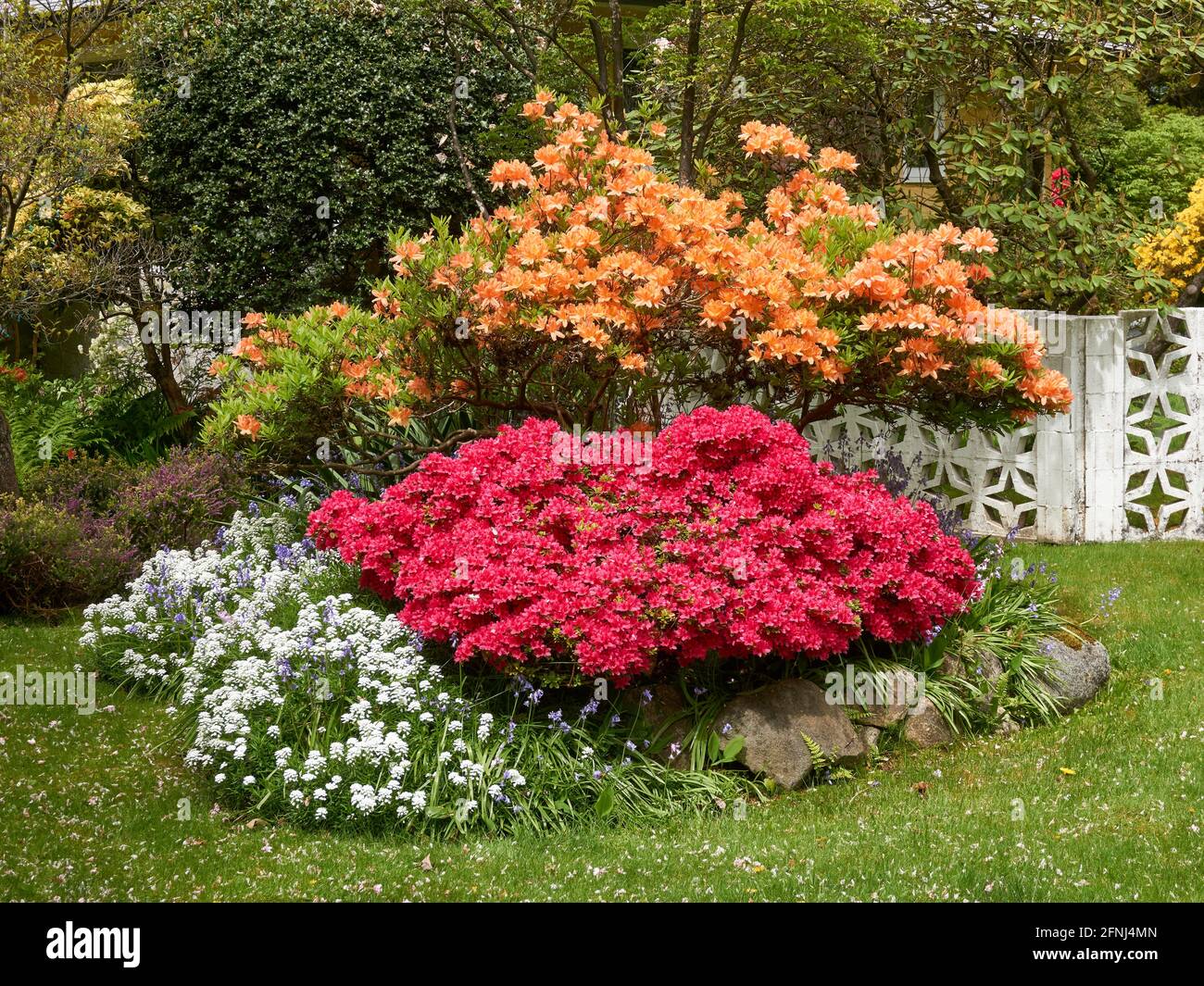 Spring garden shrubs hi-res stock photography and images - Alamy