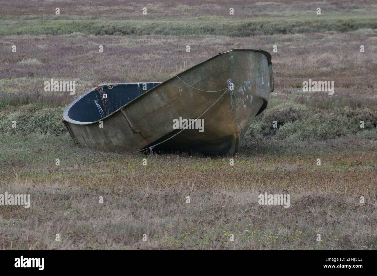 Single and small metal rowing boat tied up among vegetation by a sea ...