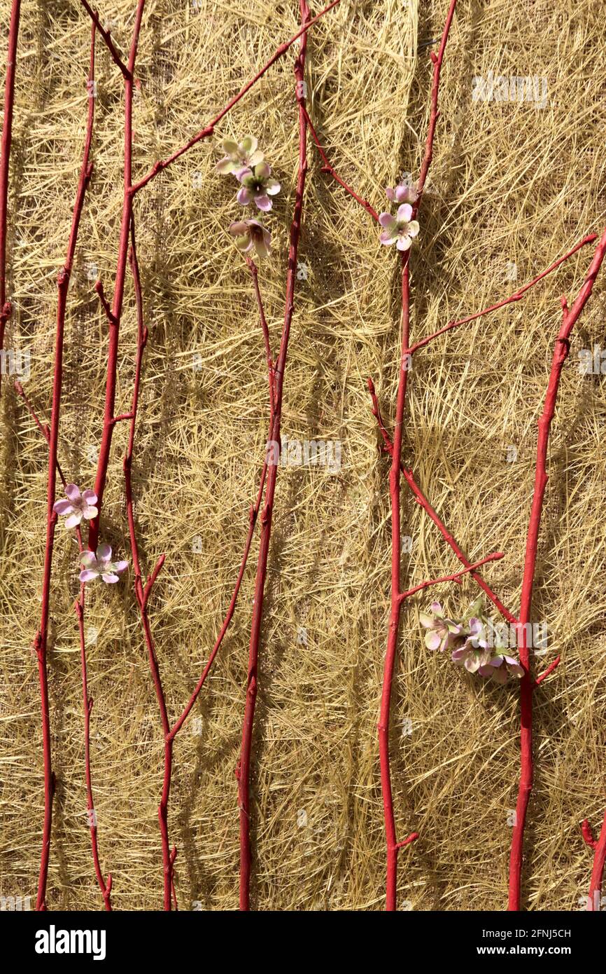 It is decorated straw wall as background Stock Photo - Alamy