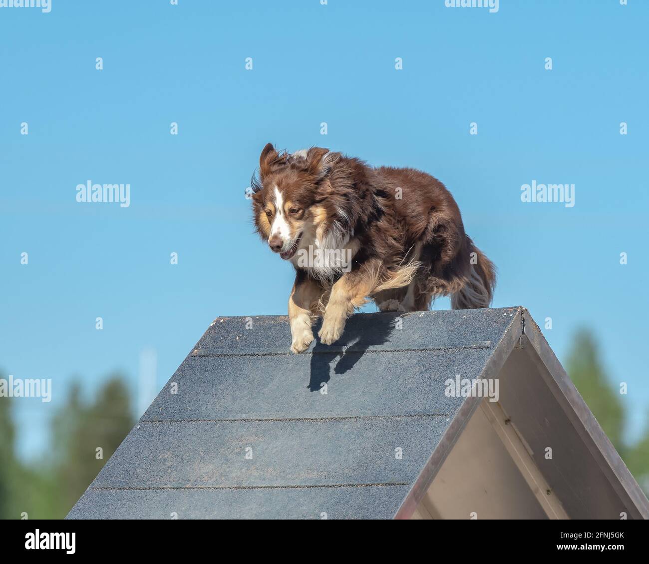 Agility a frame hi-res stock photography and images - Alamy
