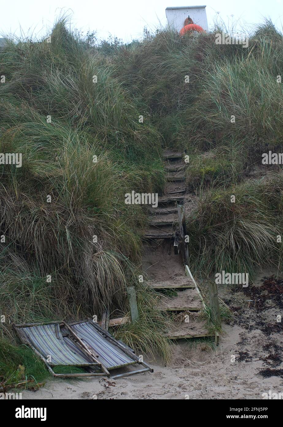 Colour image of steps leading up through sand dunes towards lifebelt on ...