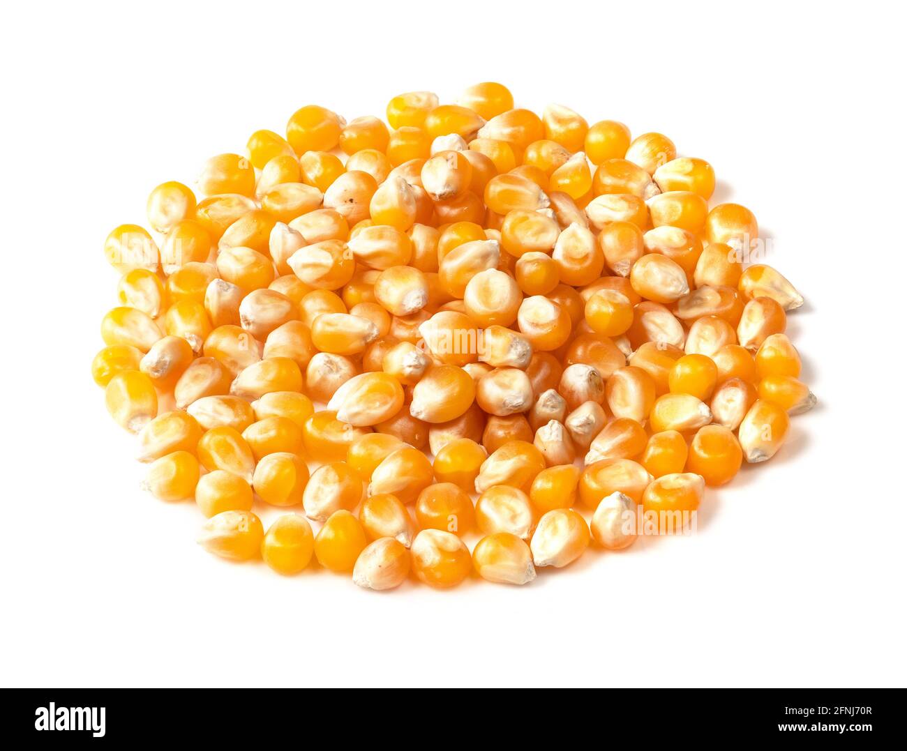 pile of raw maize (corn) seeds closeup on white background Stock Photo ...