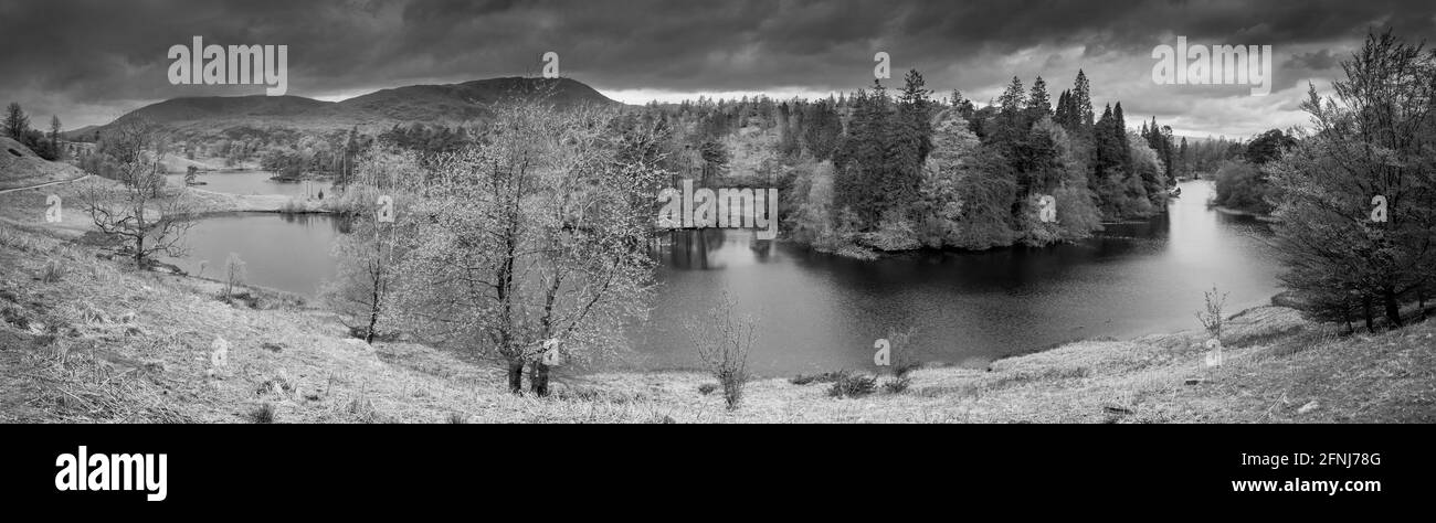 England 2021 Black and White Stock Photos & Images - Alamy