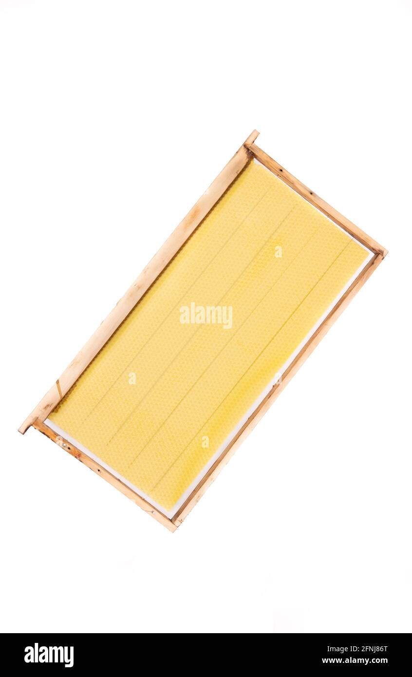 Honey bee on new Cut Out Stock Images & Pictures - Alamy