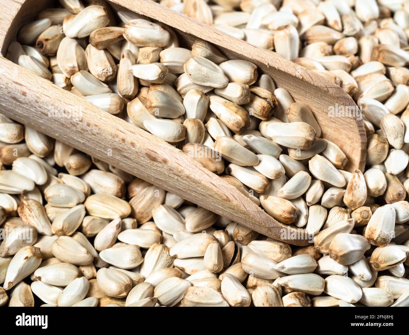 wooden scoop on pile of Safflower seeds closeup Stock Photo - Alamy