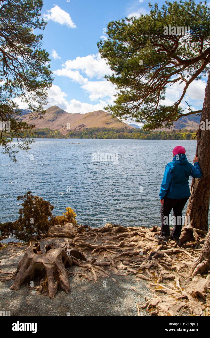 Walking in derwent hi-res stock photography and images - Alamy