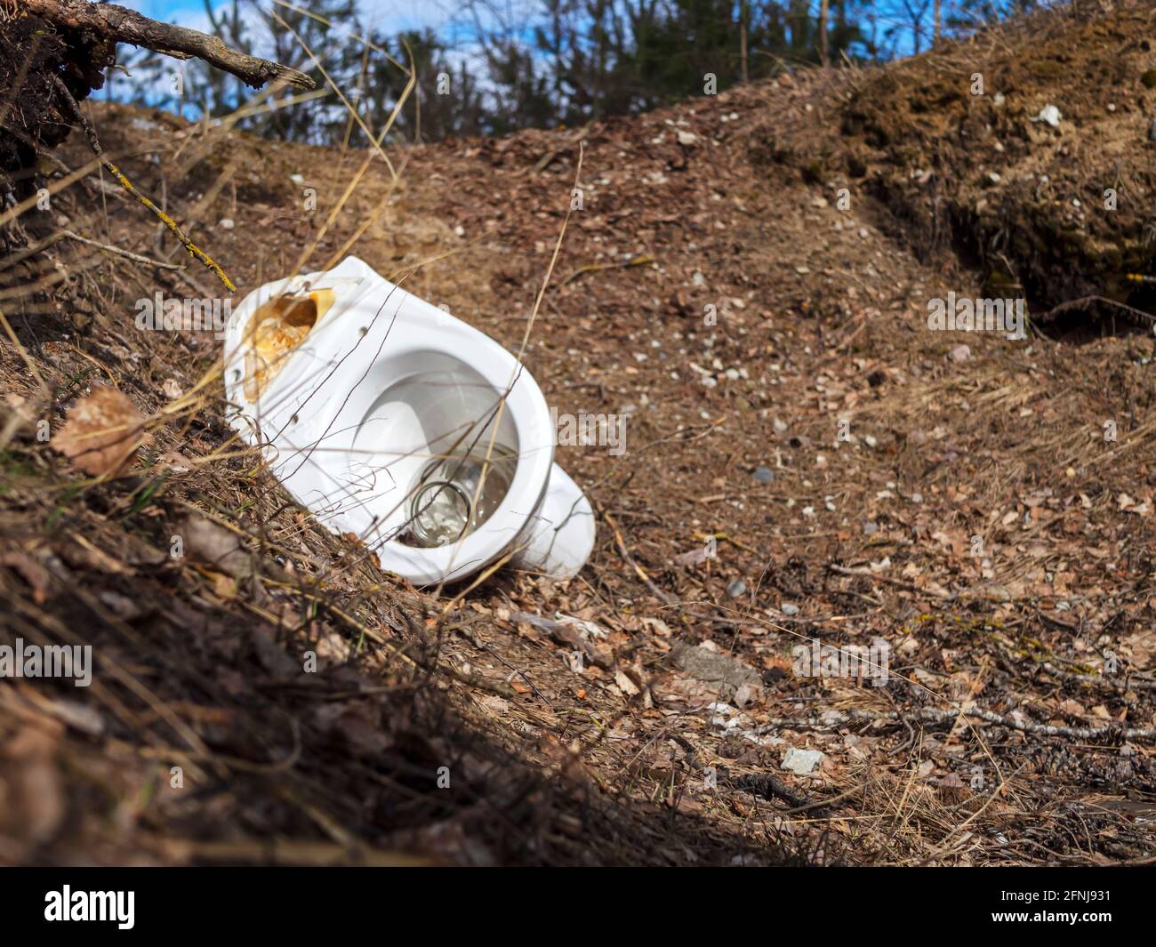Toilet Litter. Pollution of the forest by household rubbish on nature ...