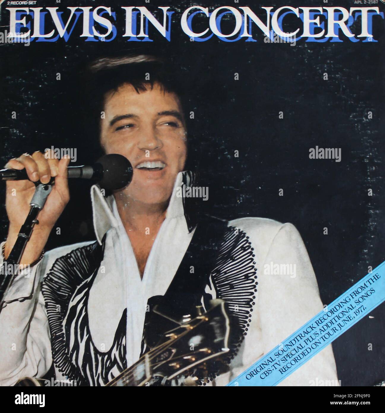 Elvis presley bear hi-res stock photography and images - Alamy