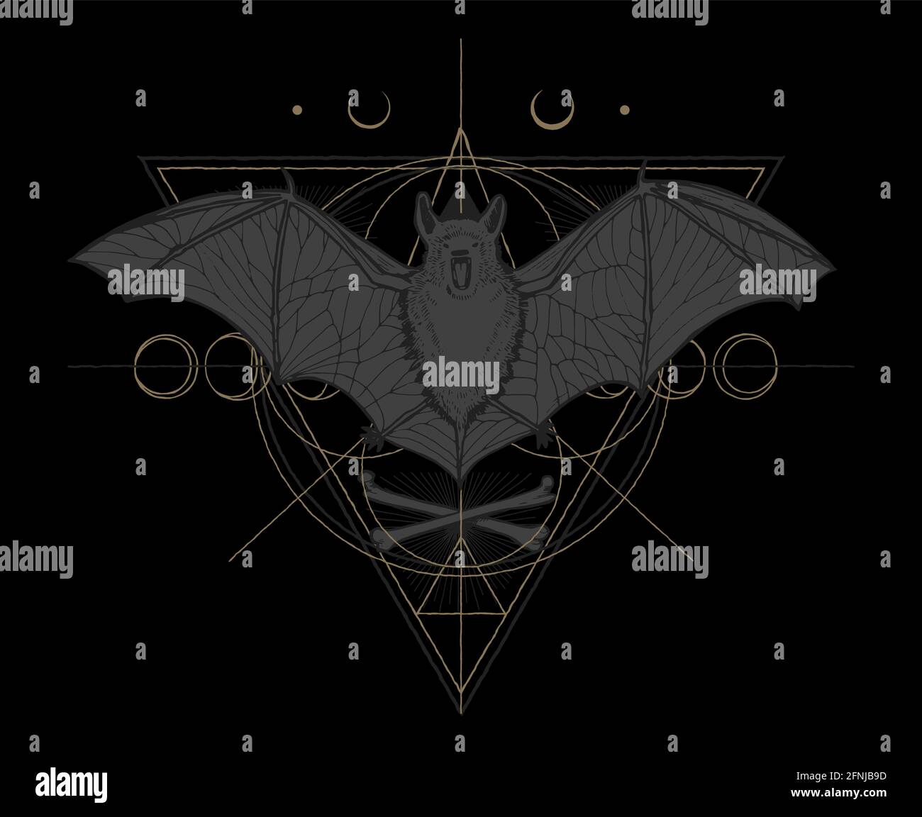 Antique drawing bat hi-res stock photography and images - Alamy