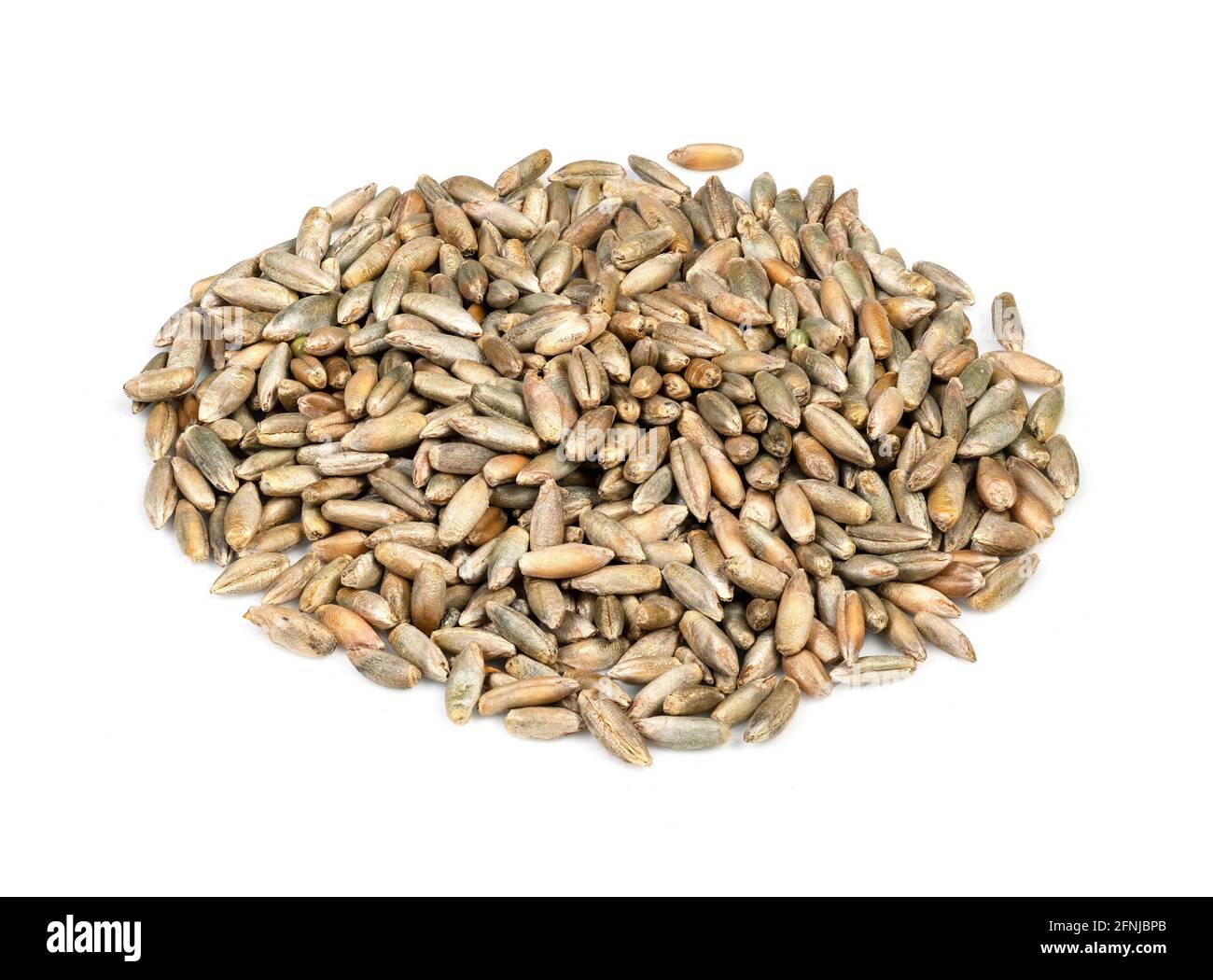 pile of husked rye grains closeup on white background Stock Photo - Alamy