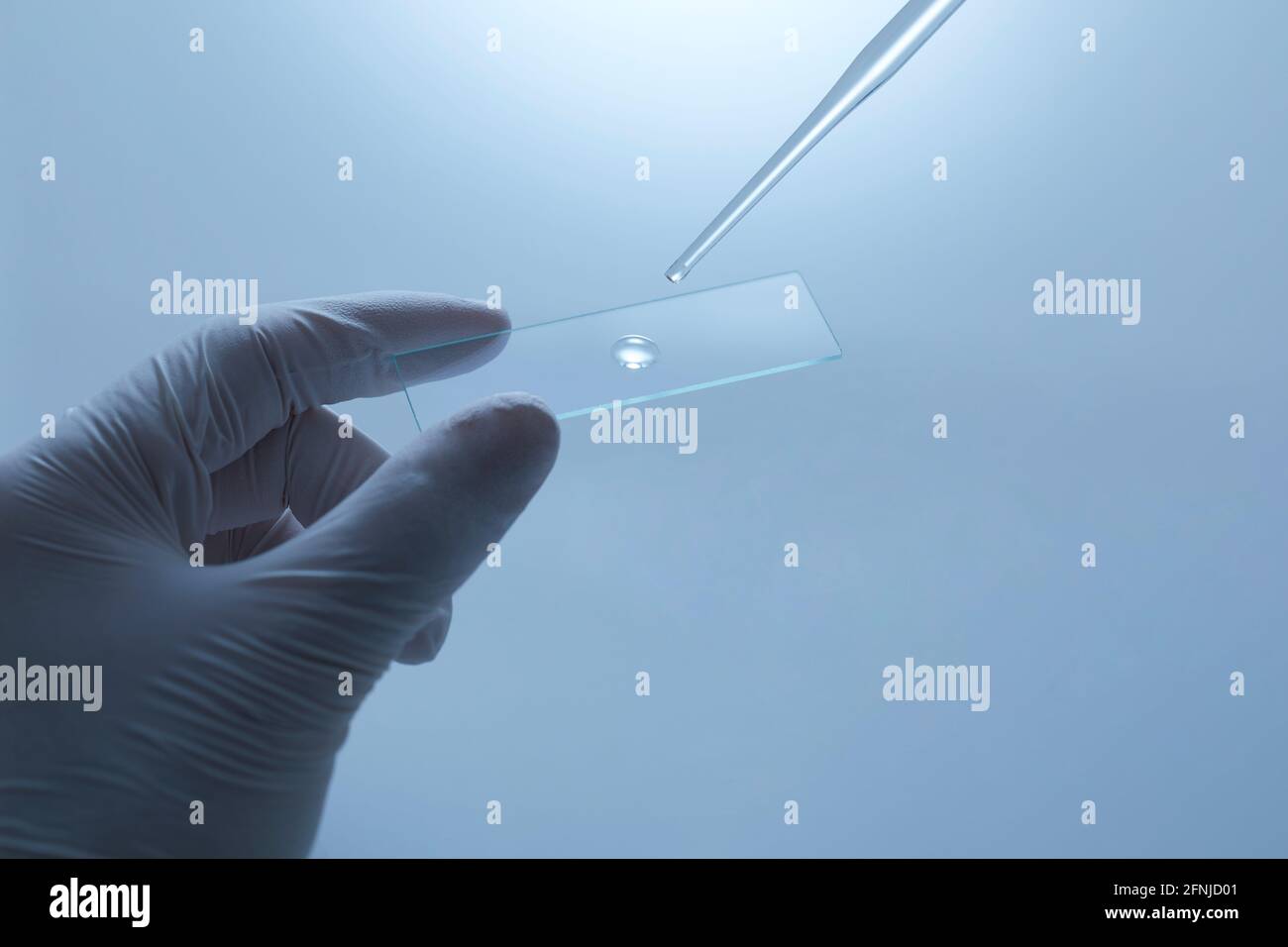 Medical slide preparation hi-res stock photography and images - Alamy