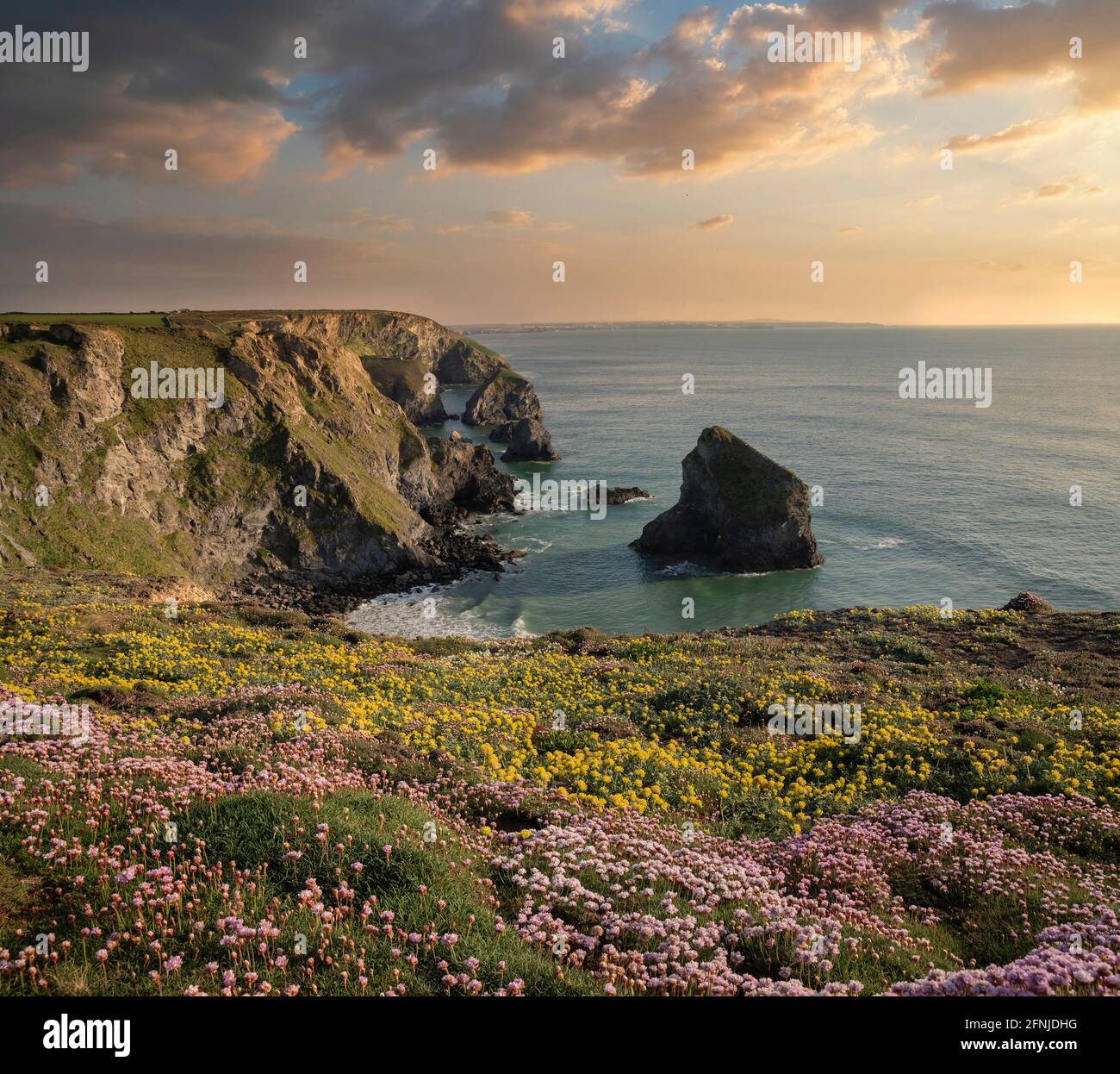 Stunning landscape image during golden hour on Cornwall coastline at ...
