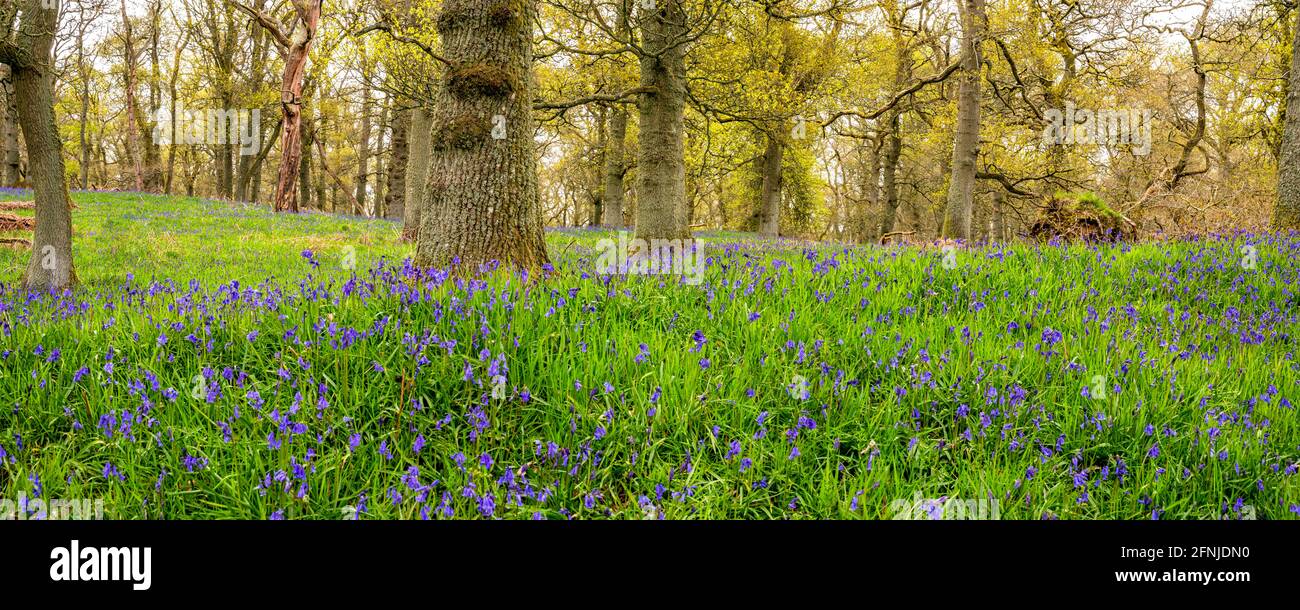Uk walking routes hi-res stock photography and images - Alamy