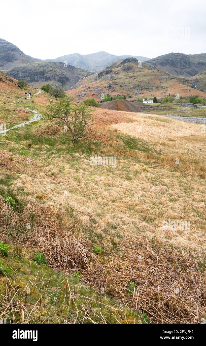 The Coppermines Valley, Lake District, Cumbria, England Stock Photo - Alamy