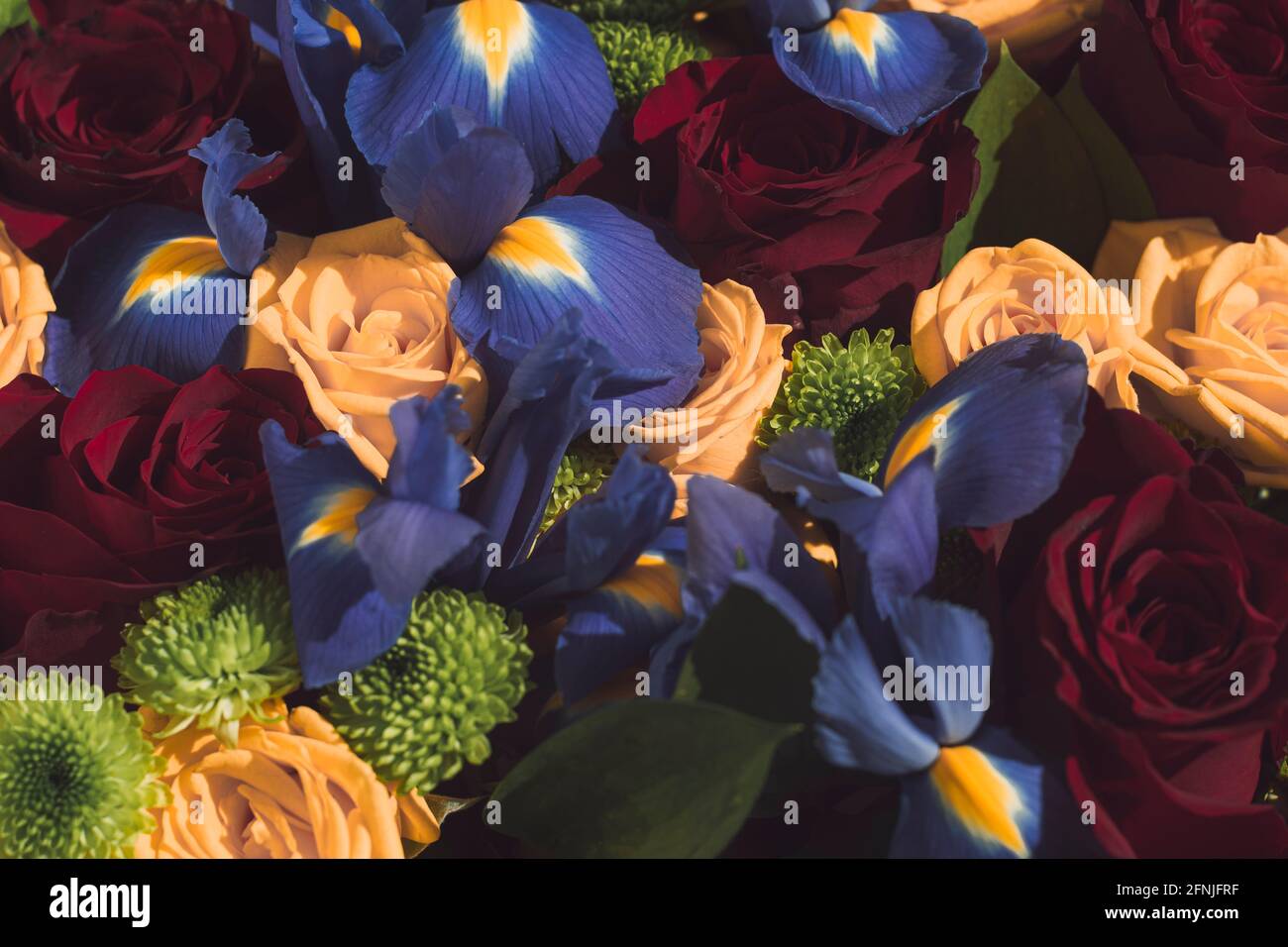 Mixed Color Roses bouquet close-up photography Stock Photo - Alamy