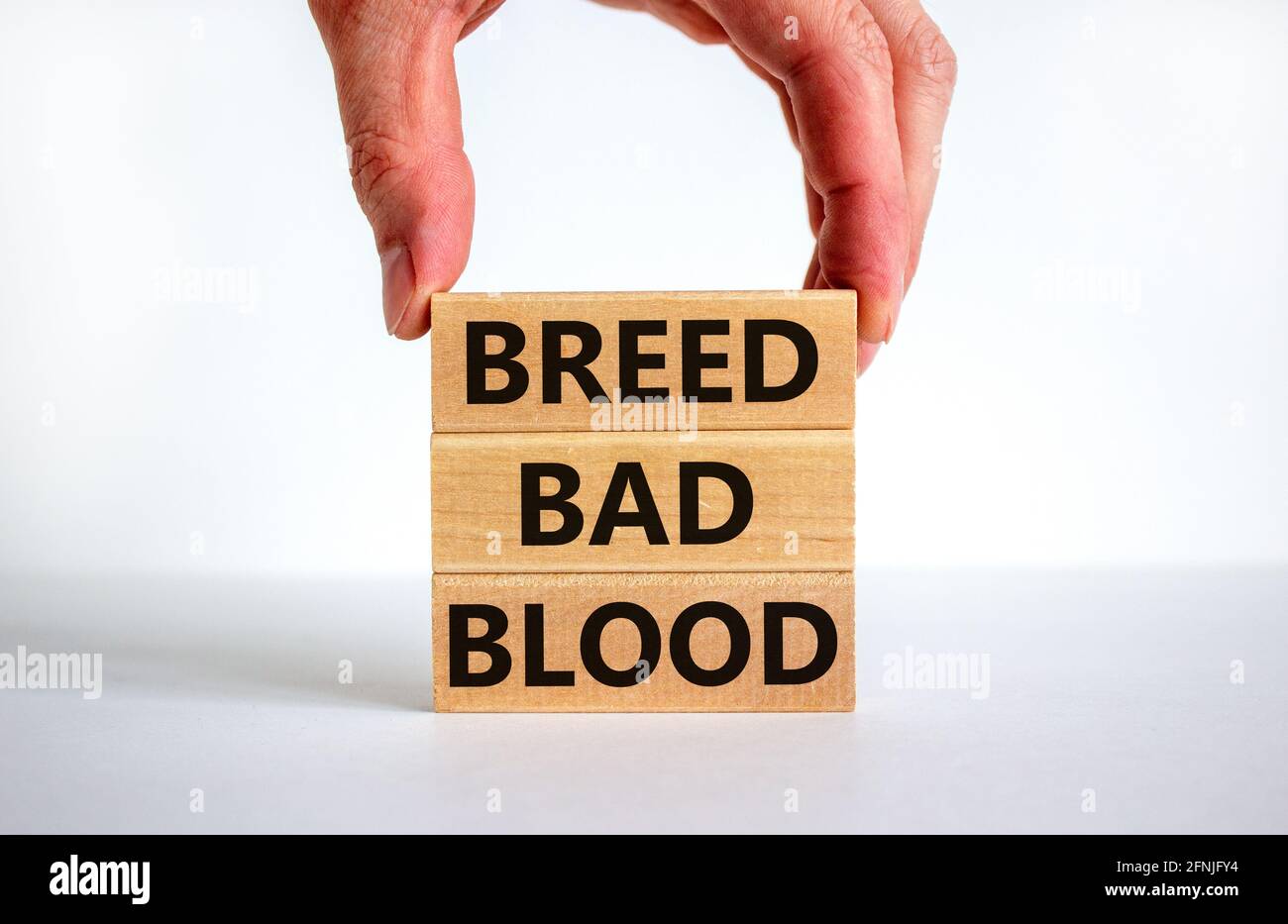 Breed bad blood symbol. Businessman holds wooden block with words ...