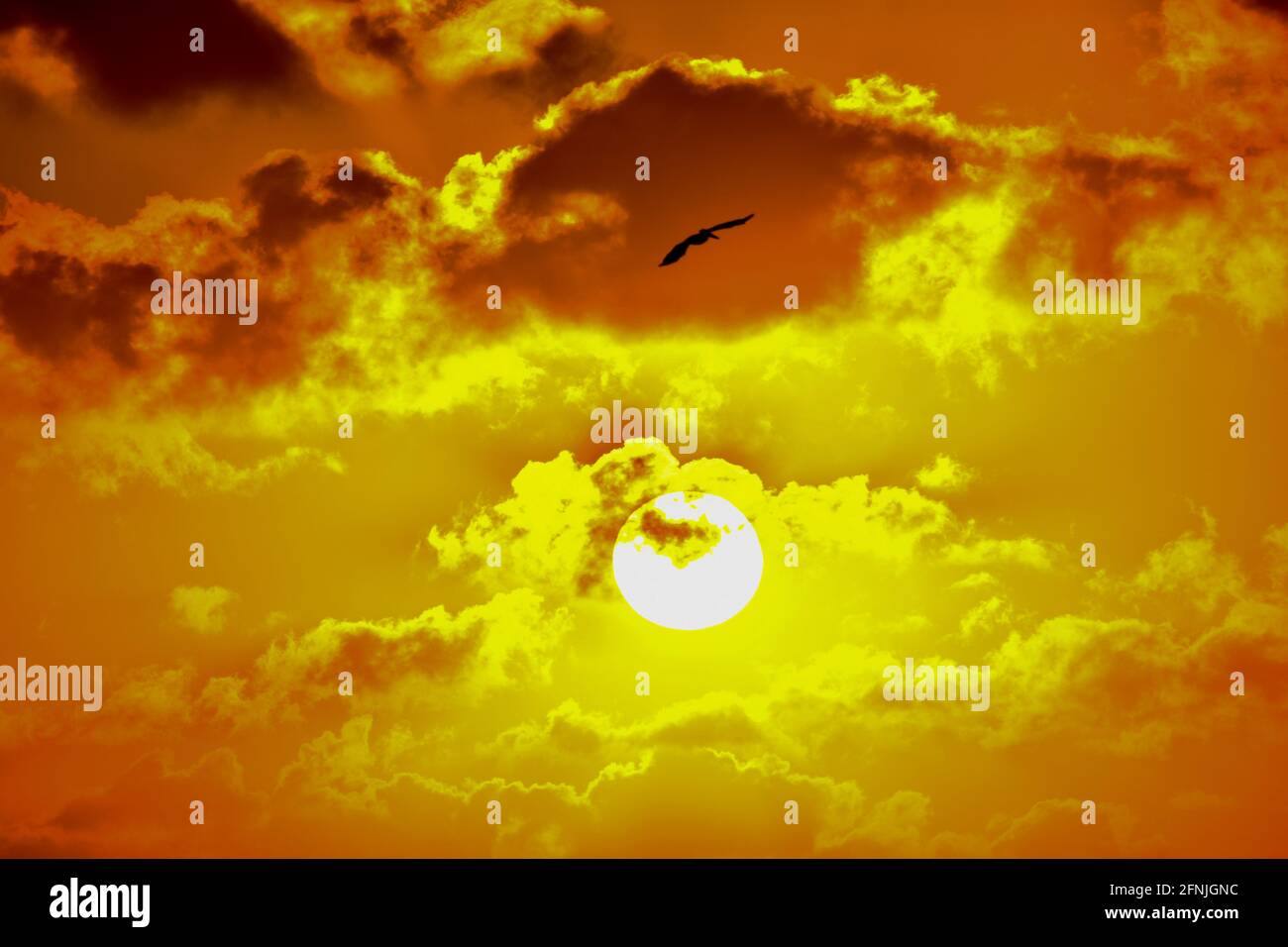 Aruba atardecer hi-res stock photography and images - Alamy