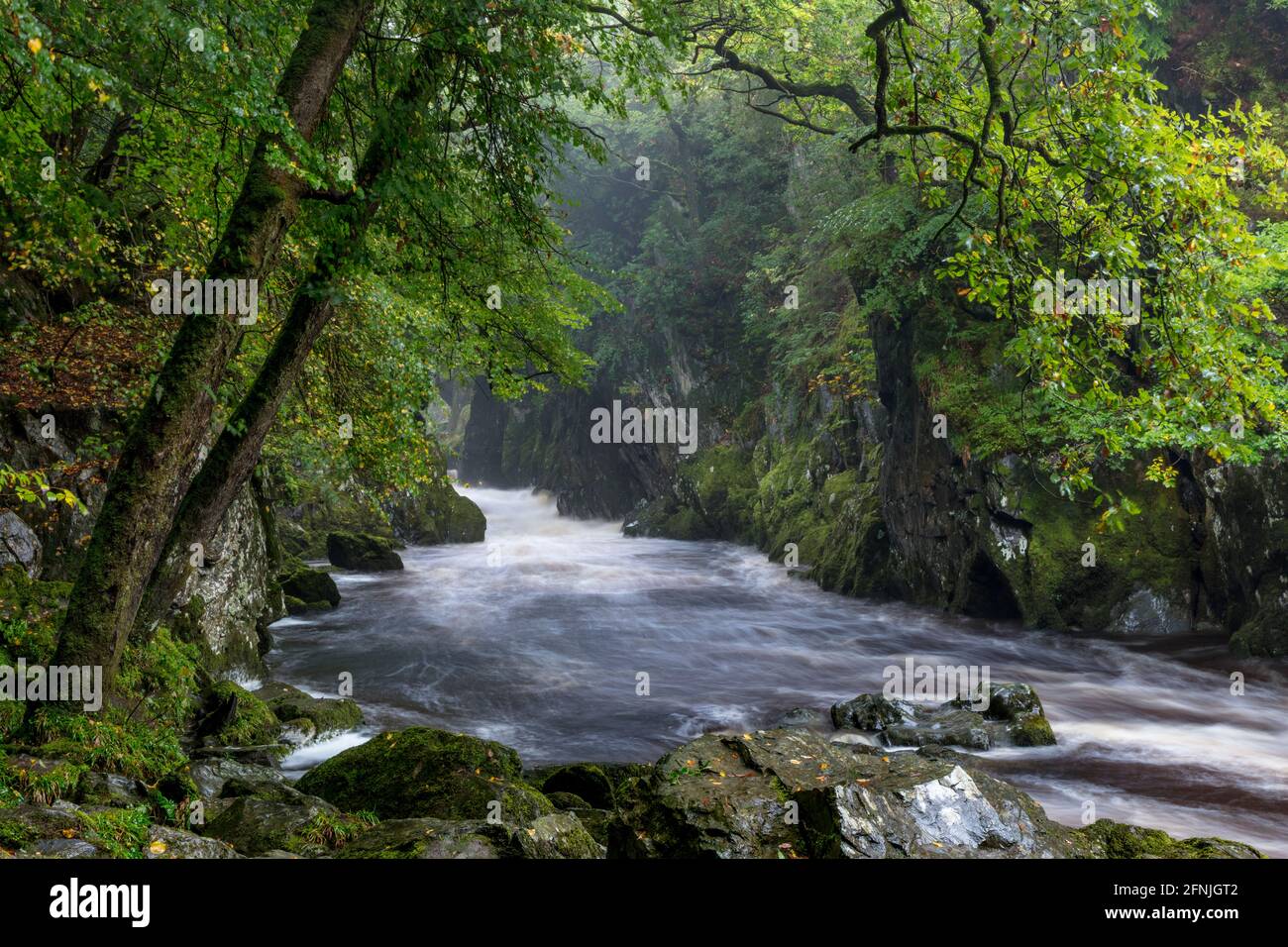 Fairy Glen Snowdonia High Resolution Stock Photography and Images - Alamy