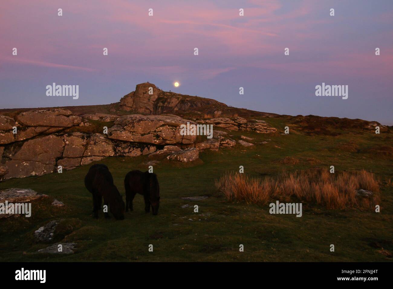 Rare rocks hi-res stock photography and images - Alamy