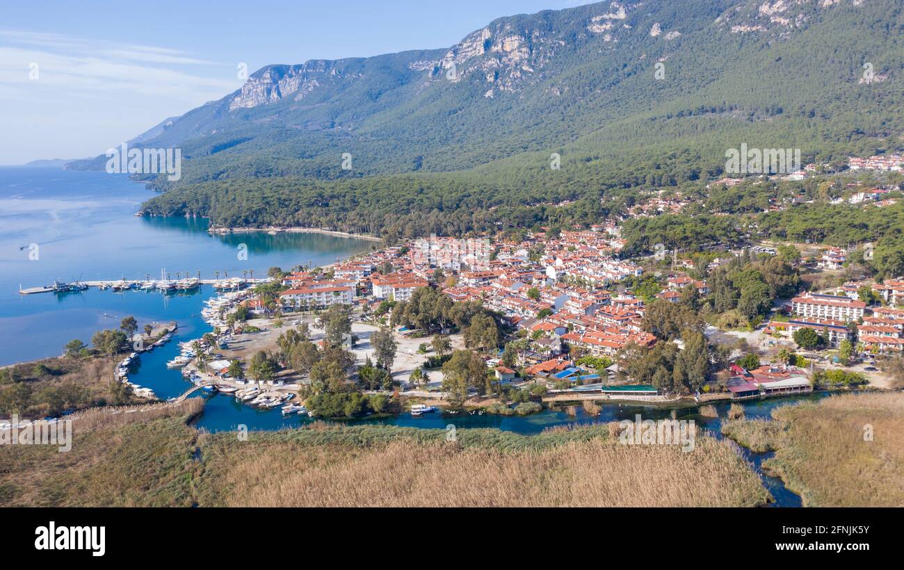 Mugla tree trees hi-res stock photography and images - Alamy