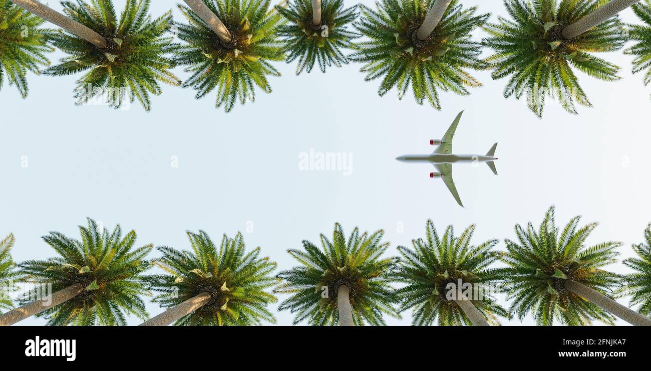 Airplane flying over palm trees hi-res stock photography and images - Alamy