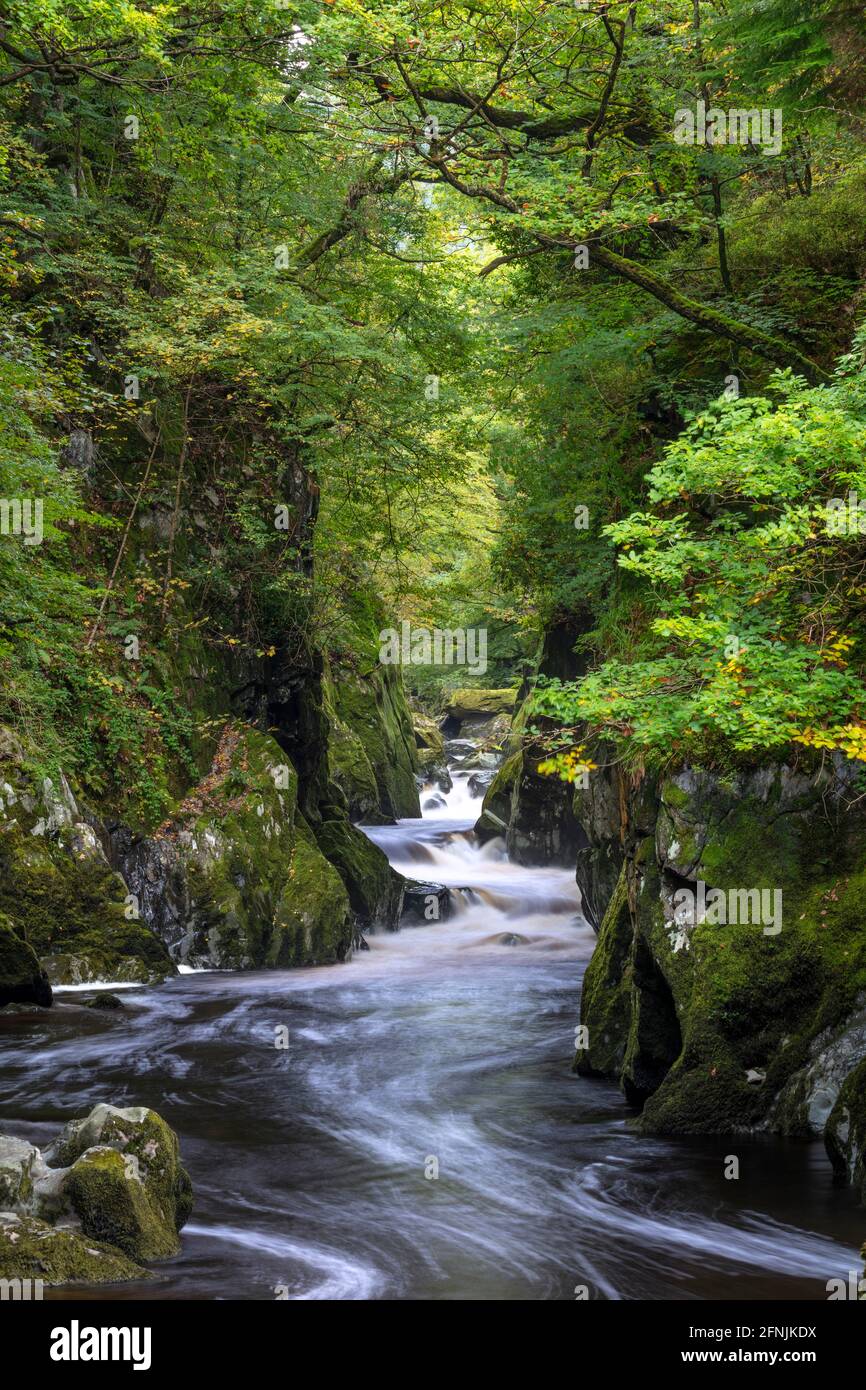 Gorge river hi-res stock photography and images - Alamy