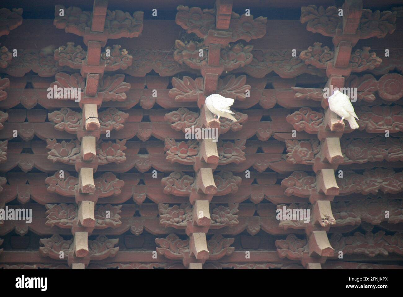 Oiseau chinois hi-res stock photography and images - Alamy