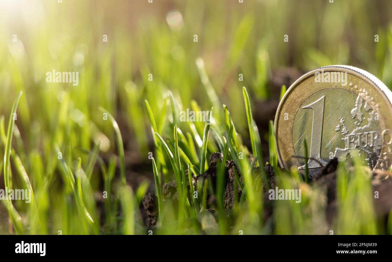 One euro coin in grass. Money growing, savings and investment concept ...