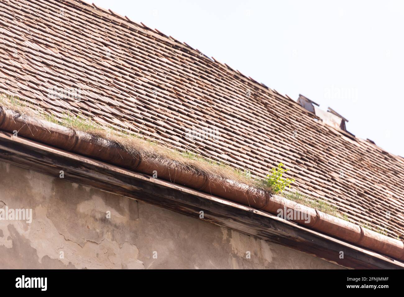 The roof is made of clay tiles. The clay gutter is heavily overgrown ...
