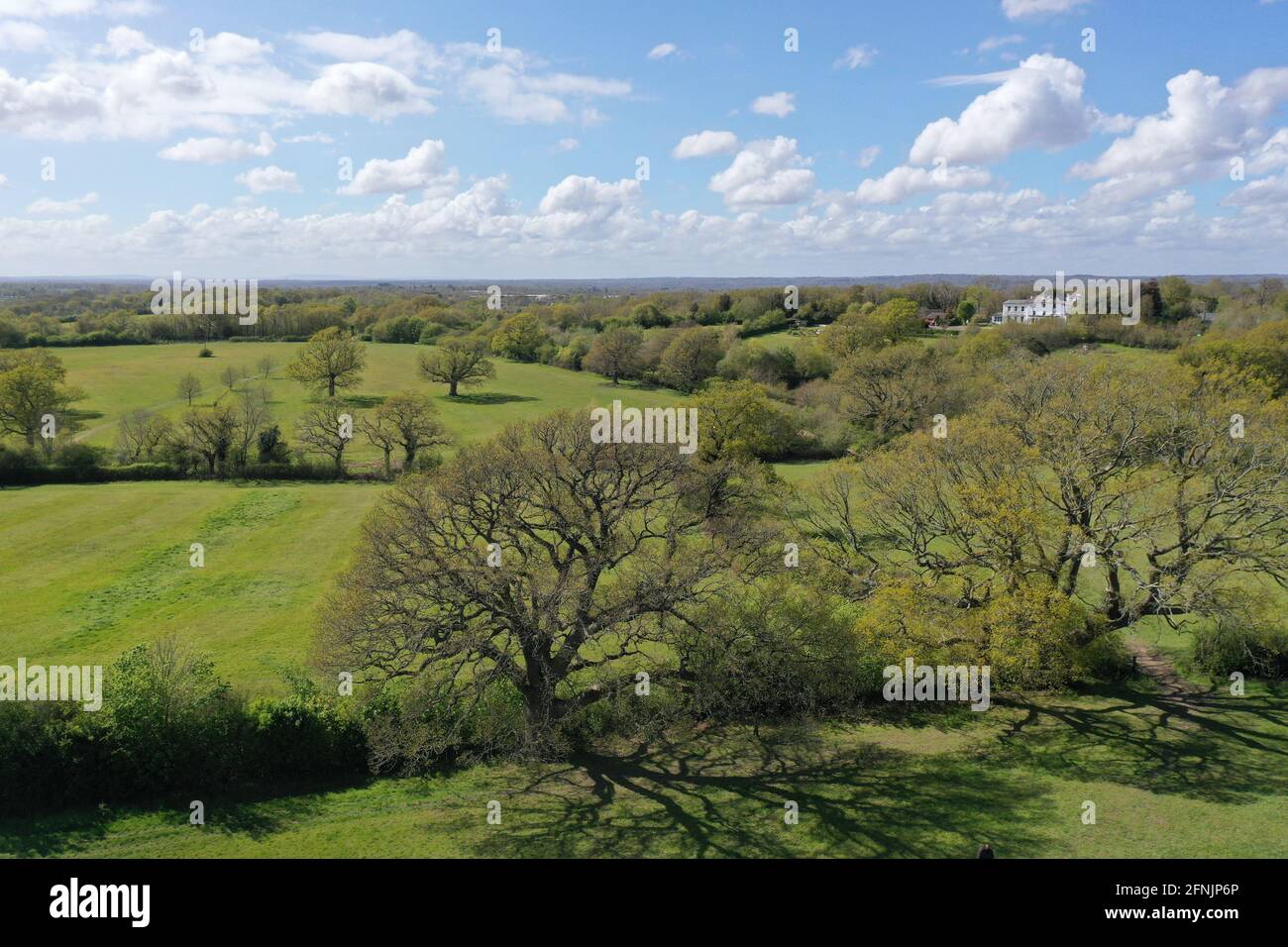Spring woodland uk aerial hi-res stock photography and images - Alamy