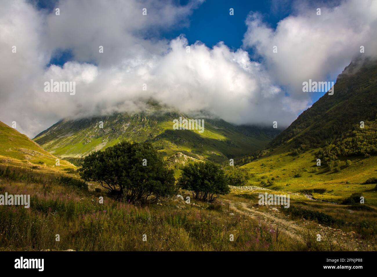 The unique view of the mountains on the Cimil Plateau in Rize, Turkey ...
