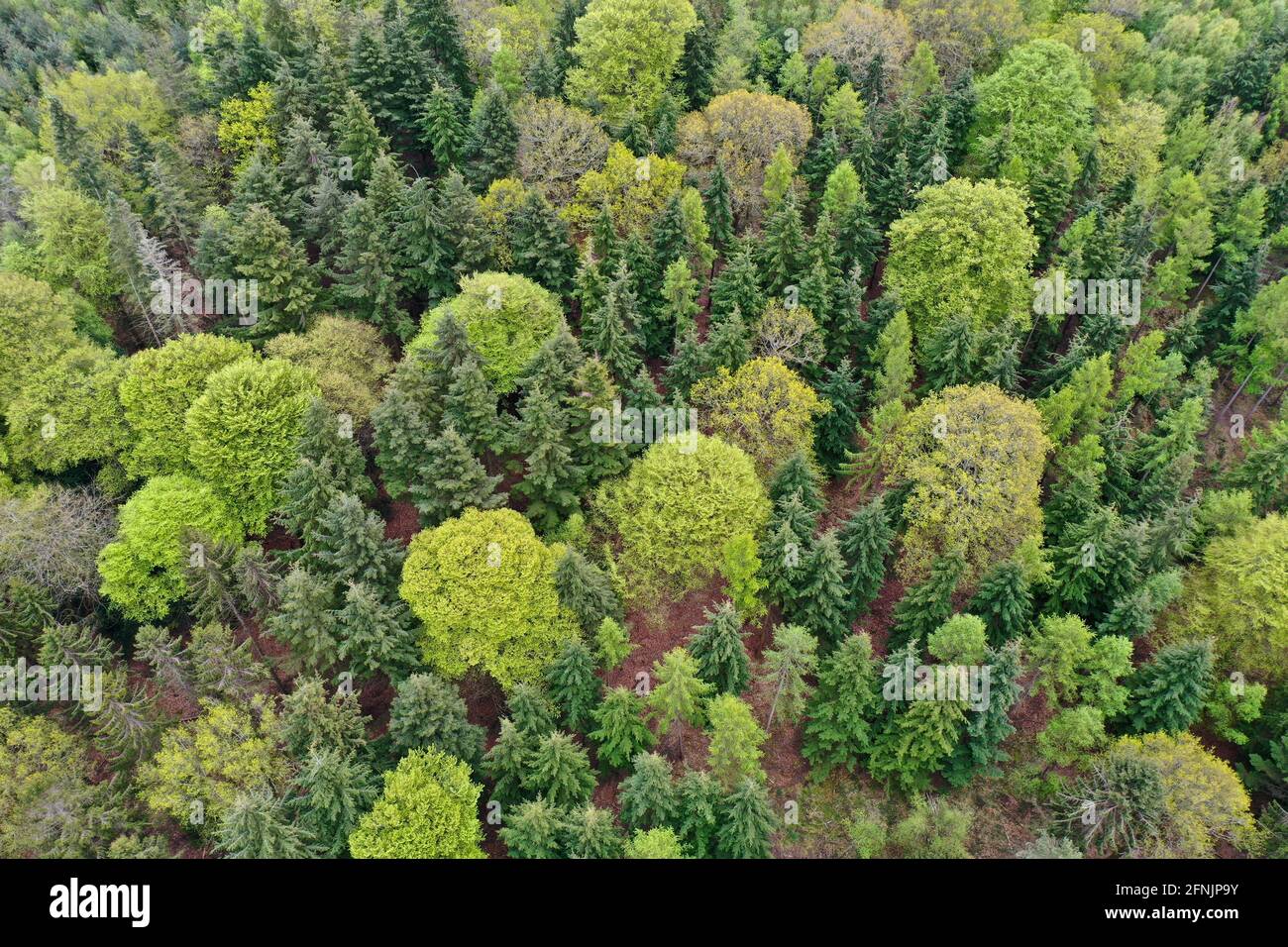 Spring woodland uk aerial hi-res stock photography and images - Alamy