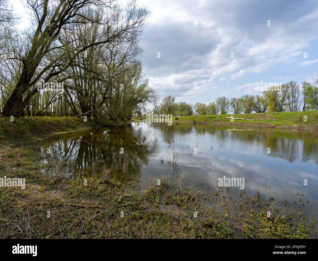 Nice nature and reflection at Beuningen The Netherlands Stock Photo - Alamy