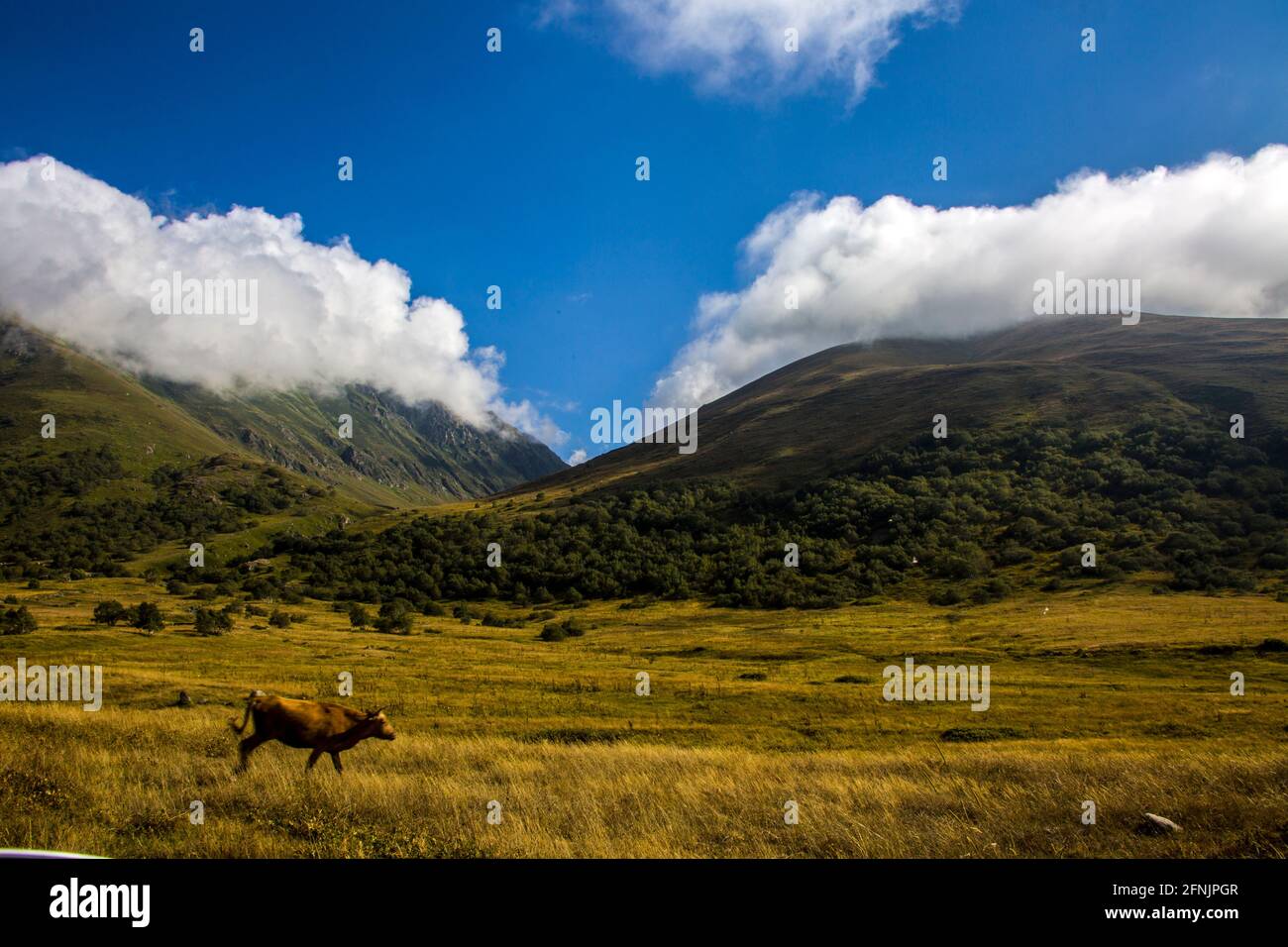 The unique view of the mountains on the Cimil Plateau in Rize, Turkey ...