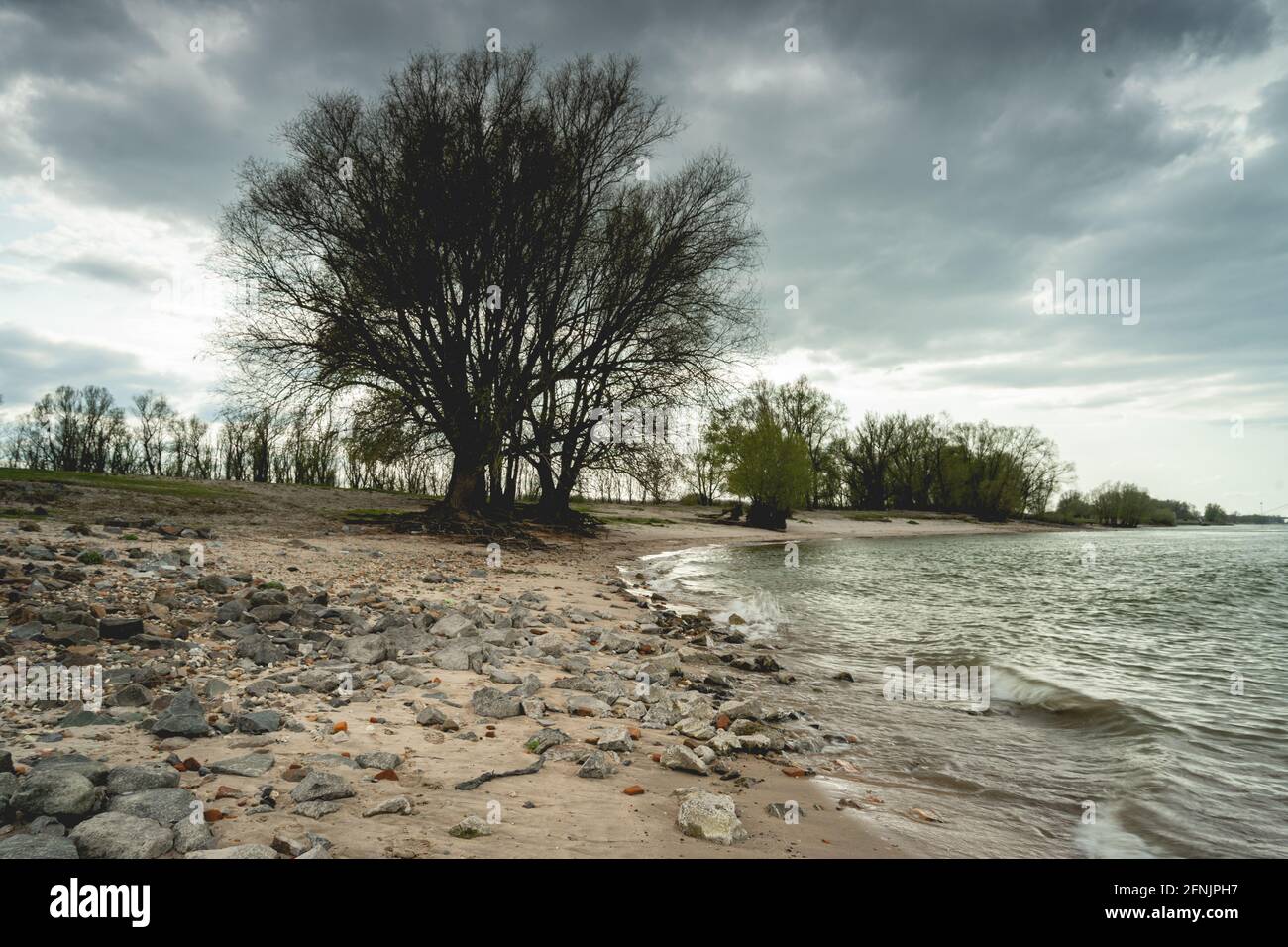 Beuatiful coastline by Beuningse Uiterwaarde, Beuningen The Netherlands ...